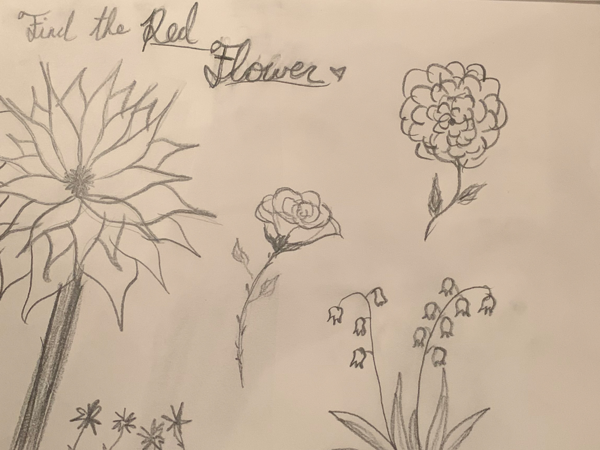 Show and Tell: Ruby Hopkins | Kristin Becker's DTC Classes at WSU